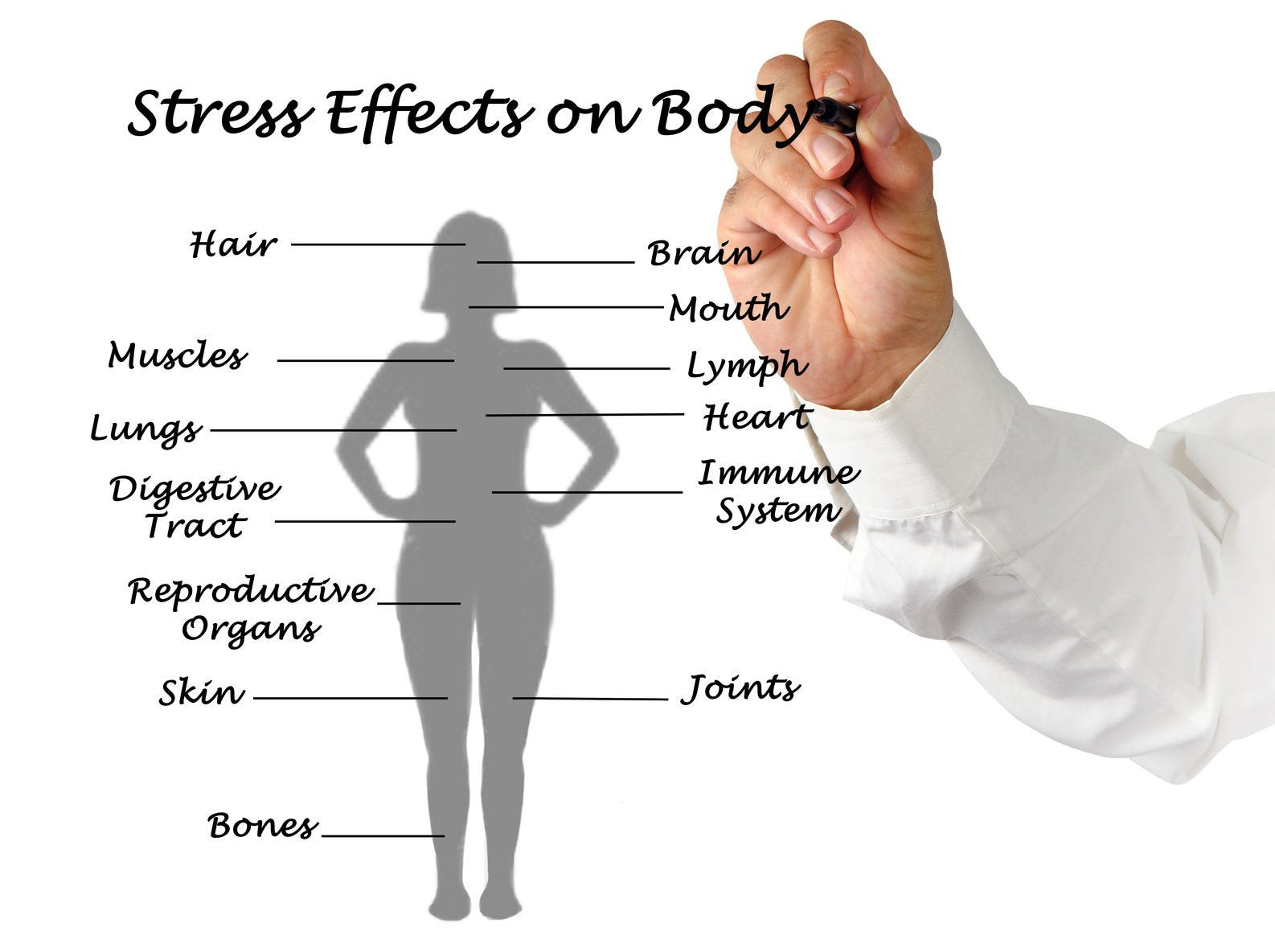 How Does Zinc Deficiency Affect Endurance Athletes? | MOXiLIFE® – MOXi ...