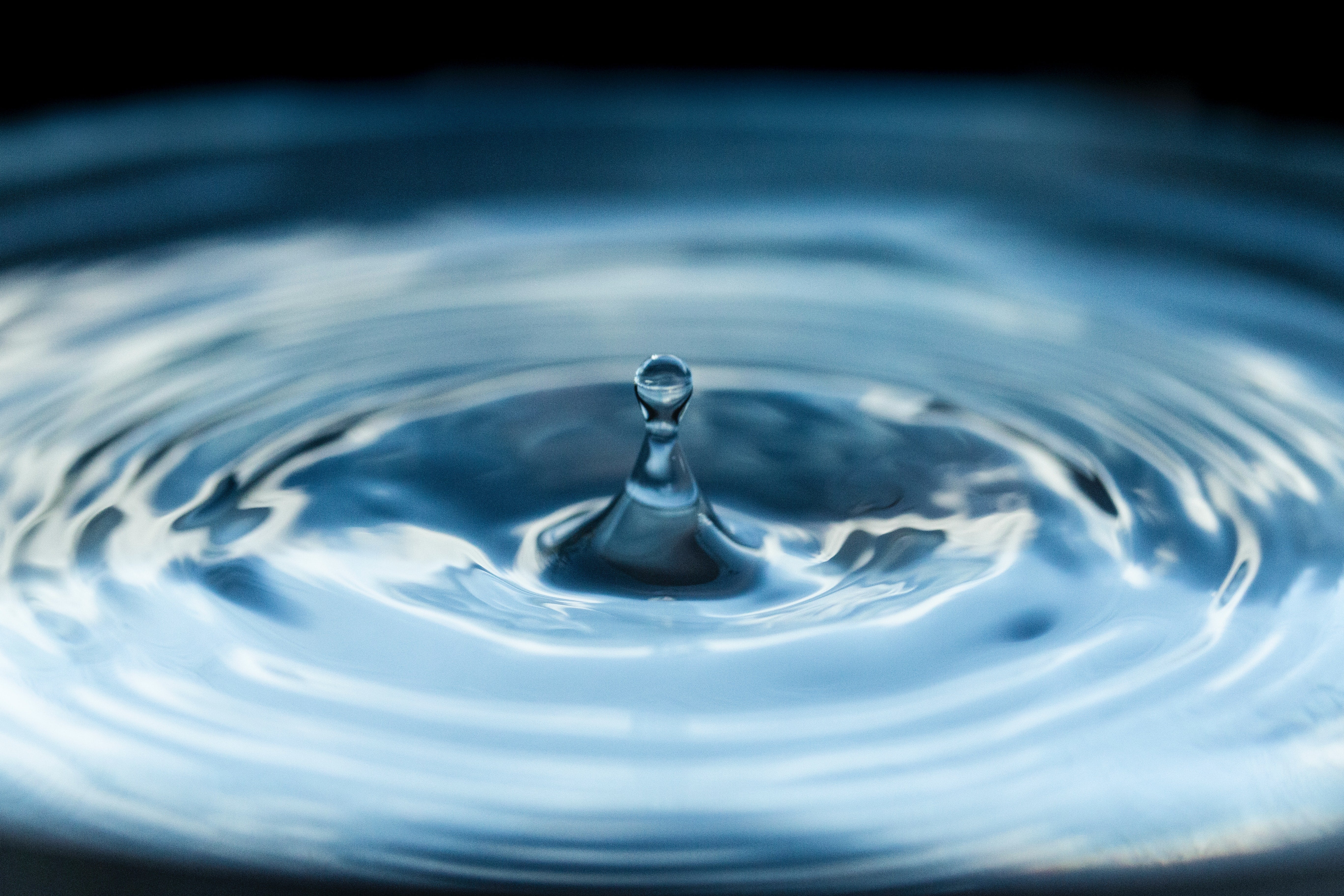 8 Water-Rich Foods That Will Help You Stay Hydrated During Summer ...